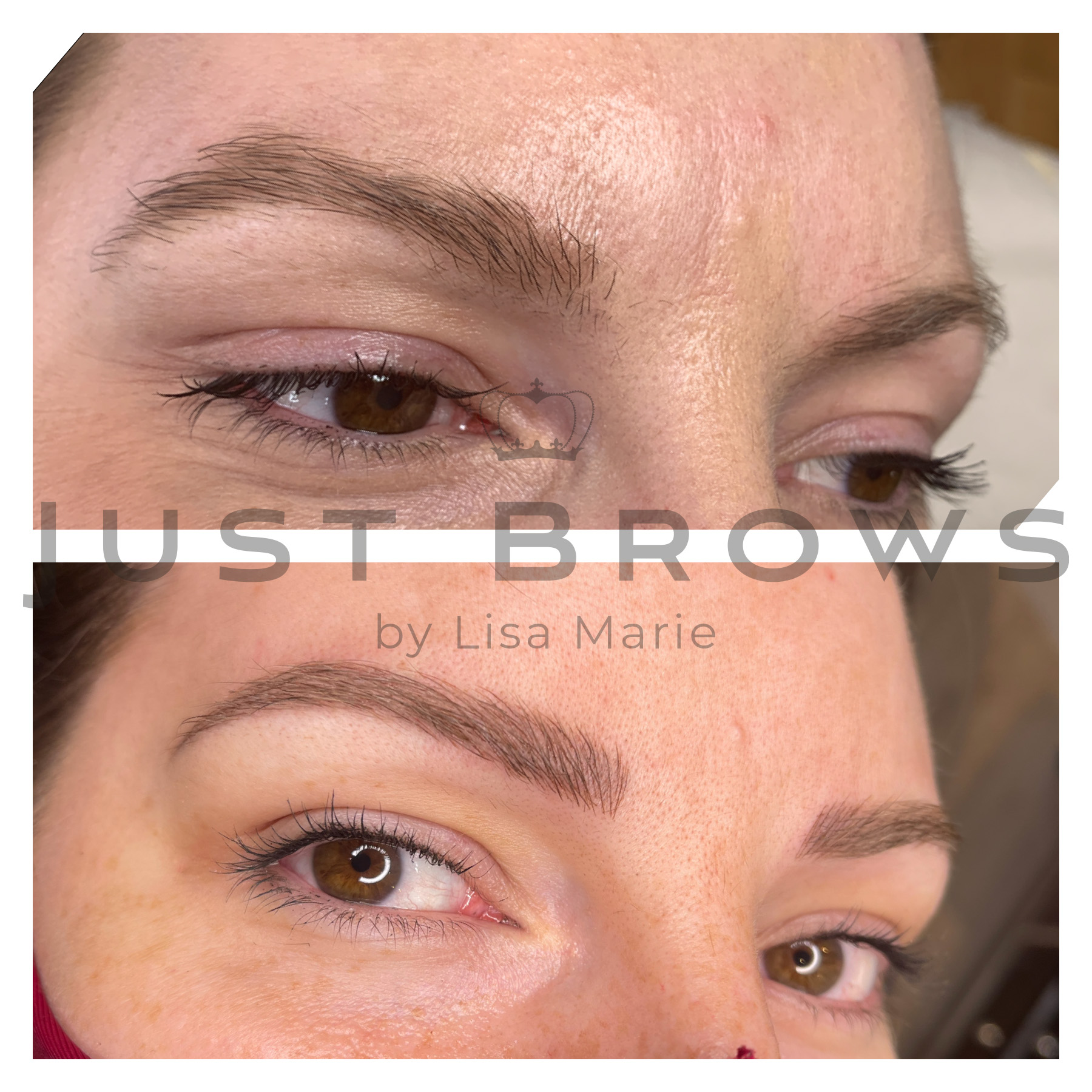 eyebrow gallery - just brows by lisa marie