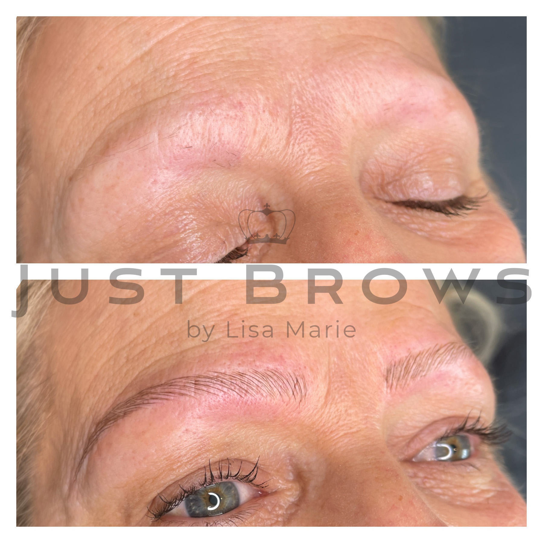 eyebrow gallery - just brows by lisa marie